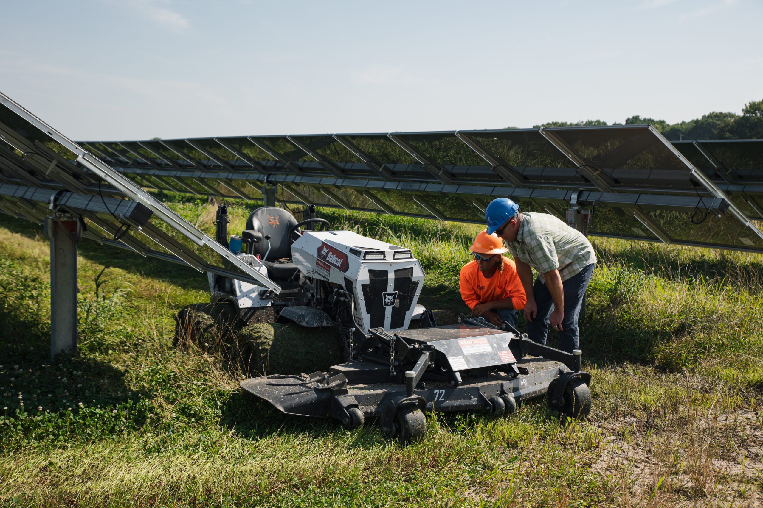 Vegetation Management for Solar Farm Safety and Performance