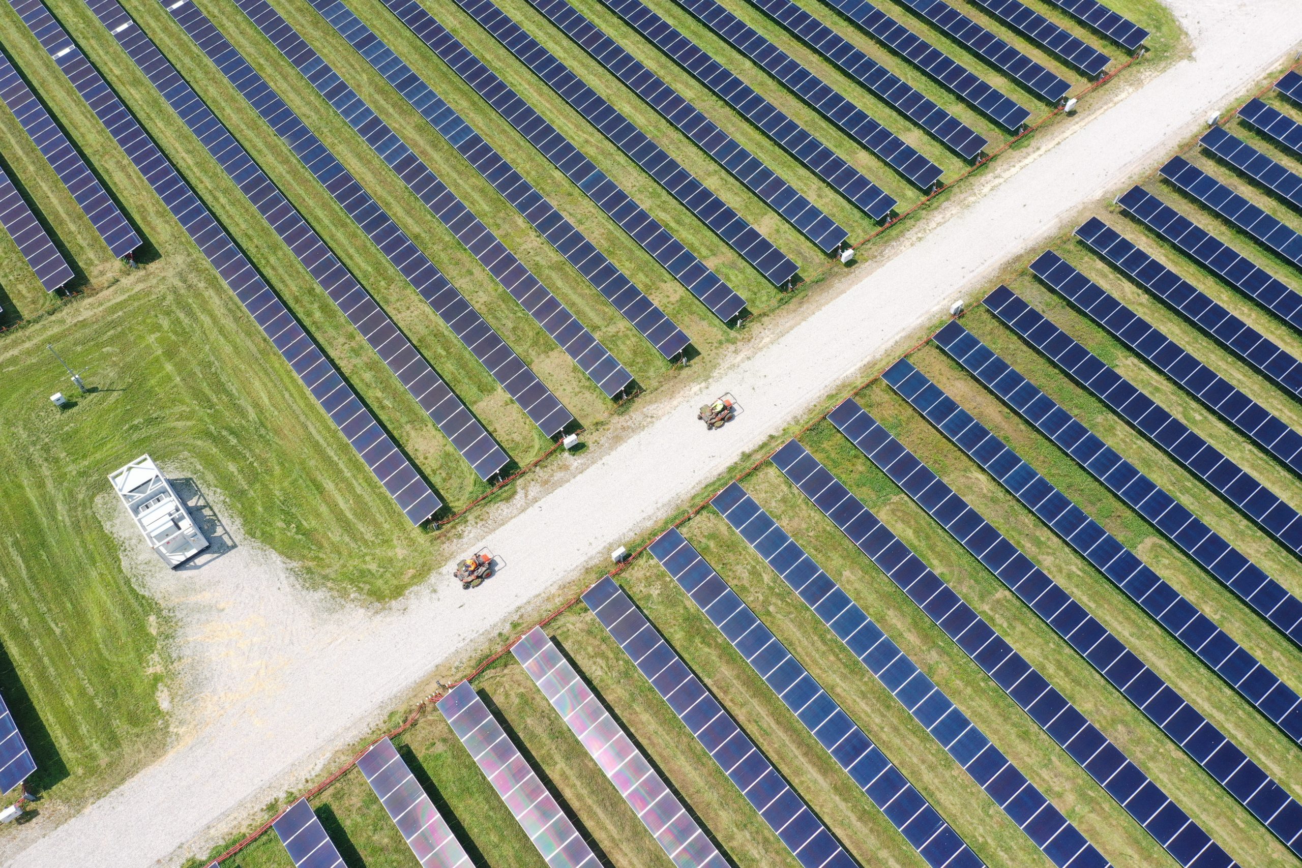 Solar Farm Vegetation Management Case Study