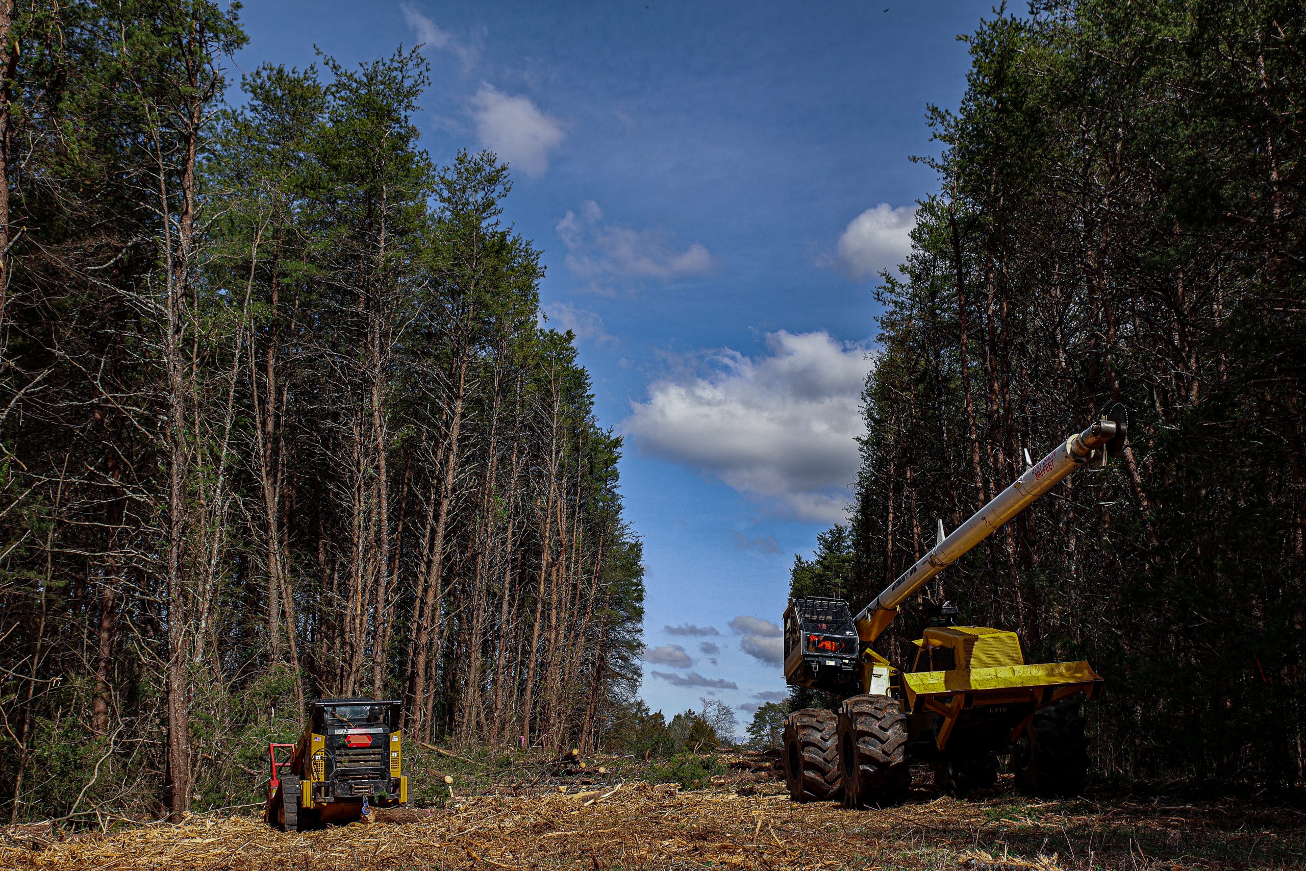 ROW Clearing Reduces Liability and Risks for Pipeline Companies