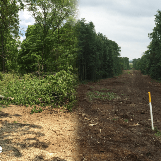 Adding Integrated Vegetation Management - Lanracorp Inc.